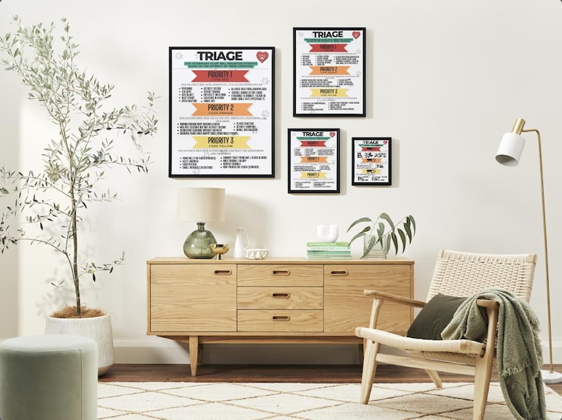 Vet Triage Action Plan: Animal Emergency Guide (digital Download) - Etsy