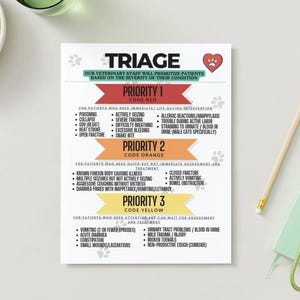 Vet Triage Action Plan: Animal Emergency Guide (digital Download) - Etsy