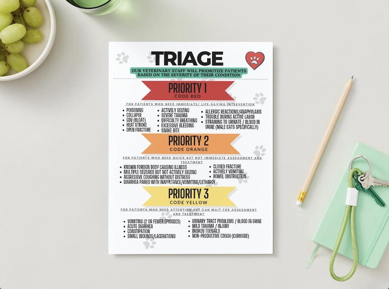 Vet Triage Action Plan: Animal Emergency Guide (digital Download) - Etsy