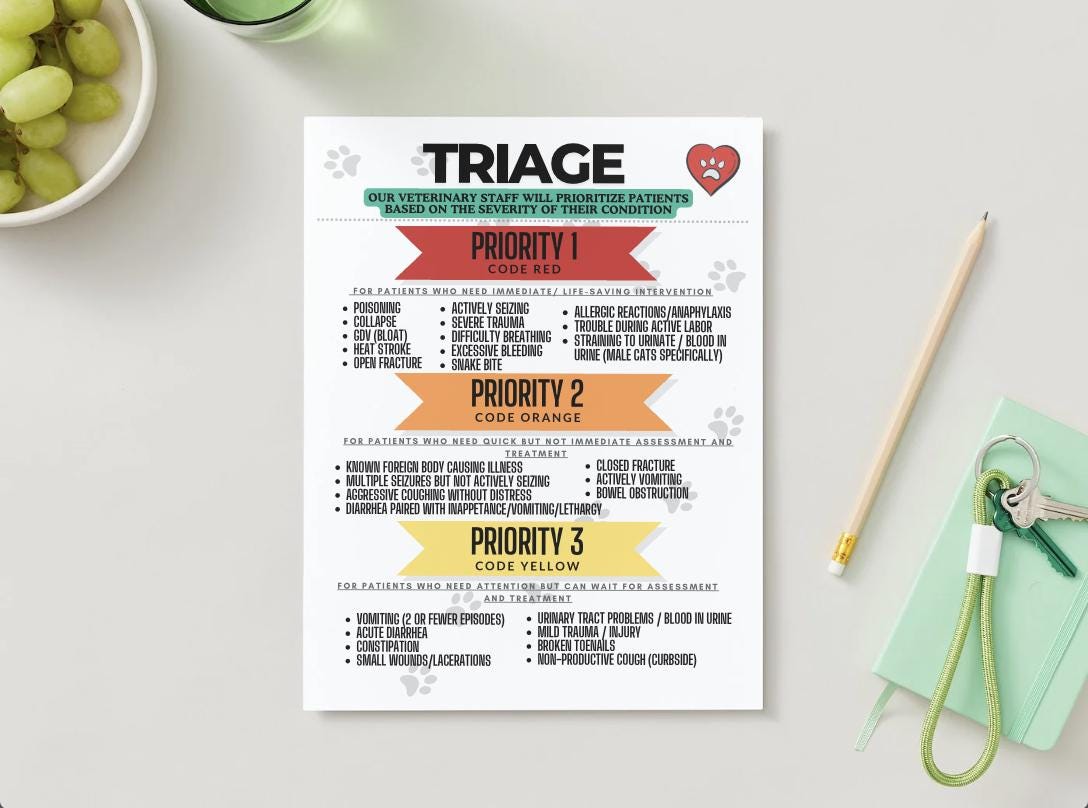 Vet Triage Action Plan: Animal Emergency Guide (digital Download) - Etsy
