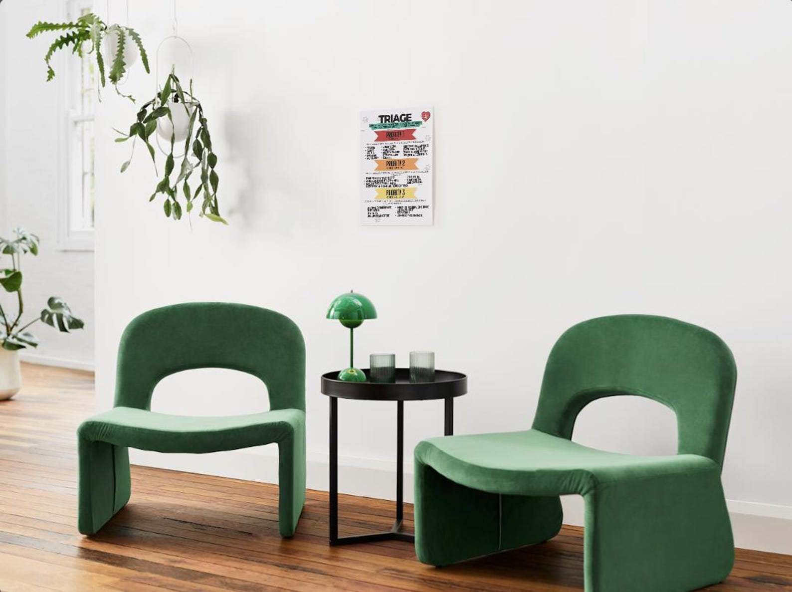 Vet Triage Action Plan: Animal Emergency Guide (digital Download) - Etsy