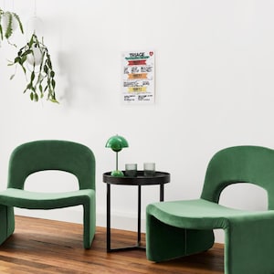 Vet Triage Action Plan: Animal Emergency Guide (digital Download) - Etsy