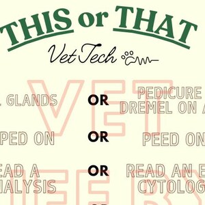 Vet Tech Games: Staff Party & Appreciation (digital Download) - Etsy