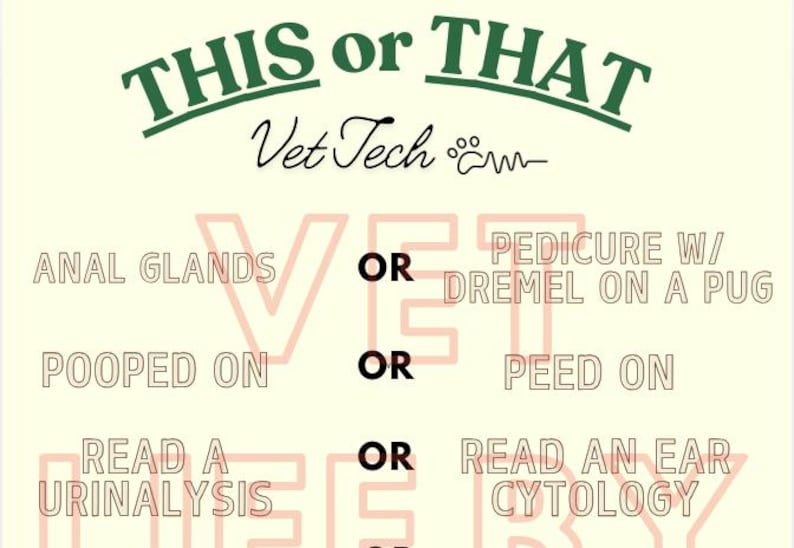 Vet Tech Games: Staff Party & Appreciation (digital Download) - Etsy