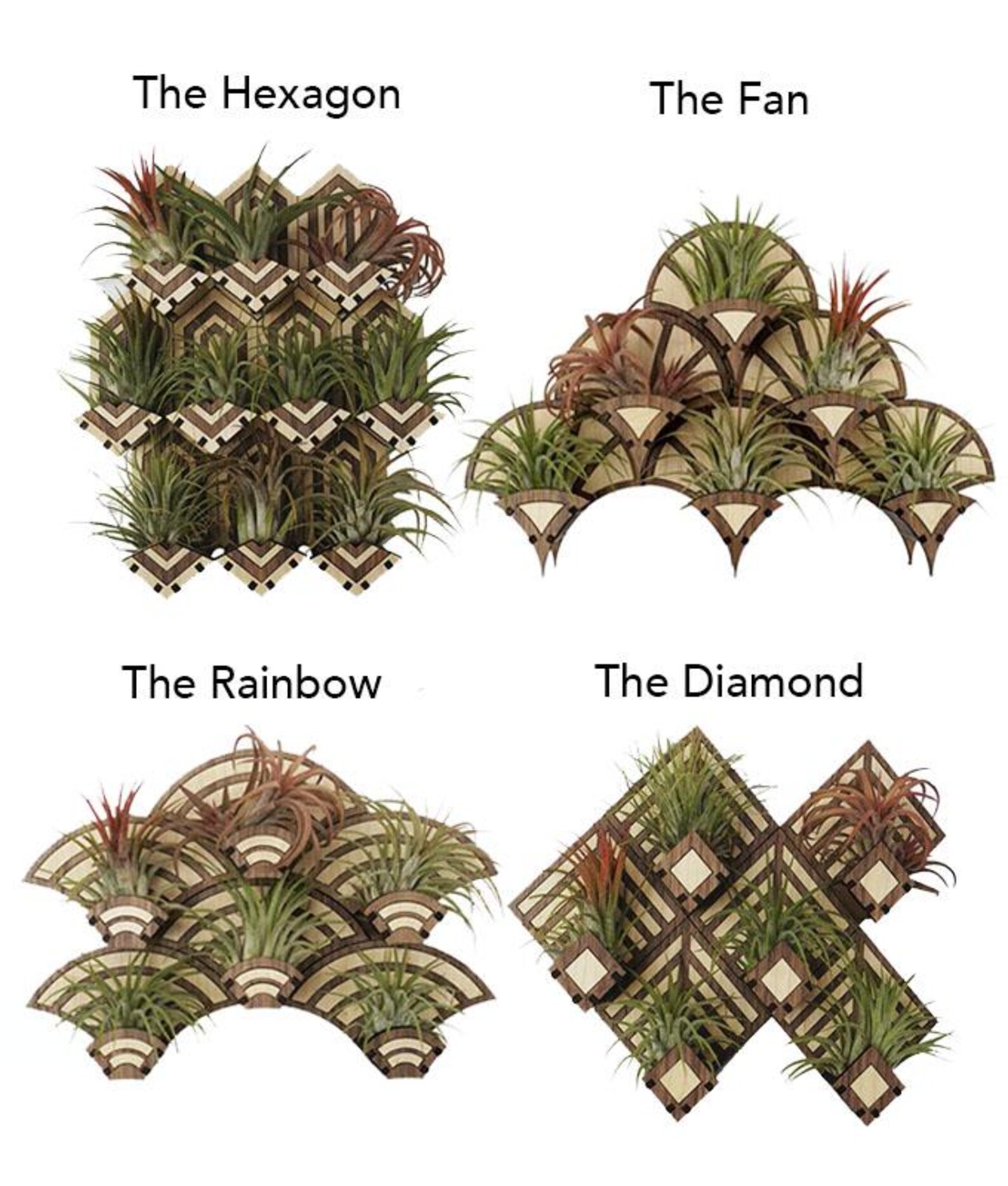 Air Plant Living Wall | Laser Cut File Digital Download DFX SVG for ...