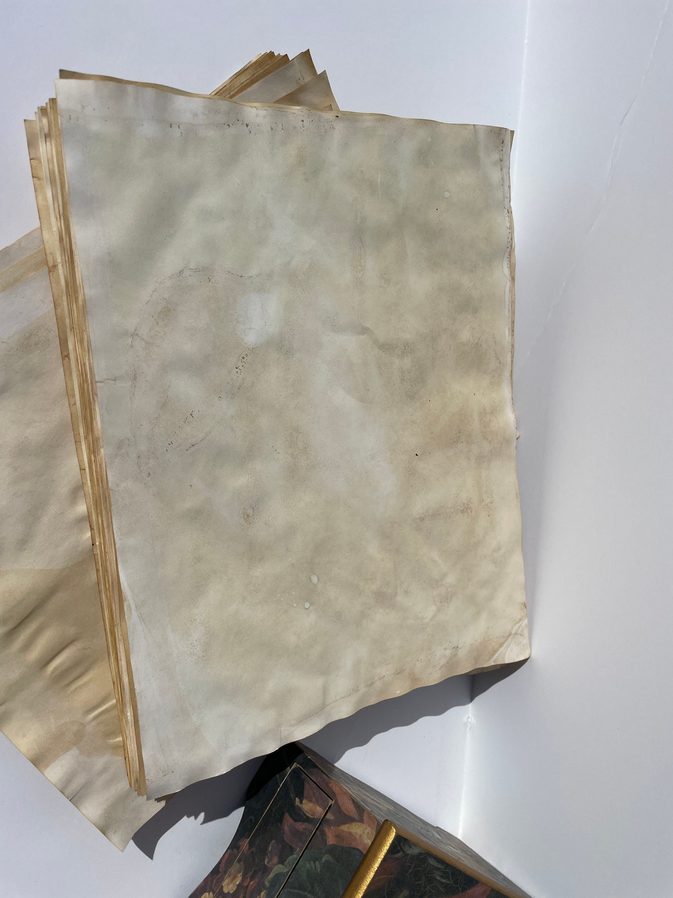 Tea Dyed Paper, 25 Sheets - Etsy