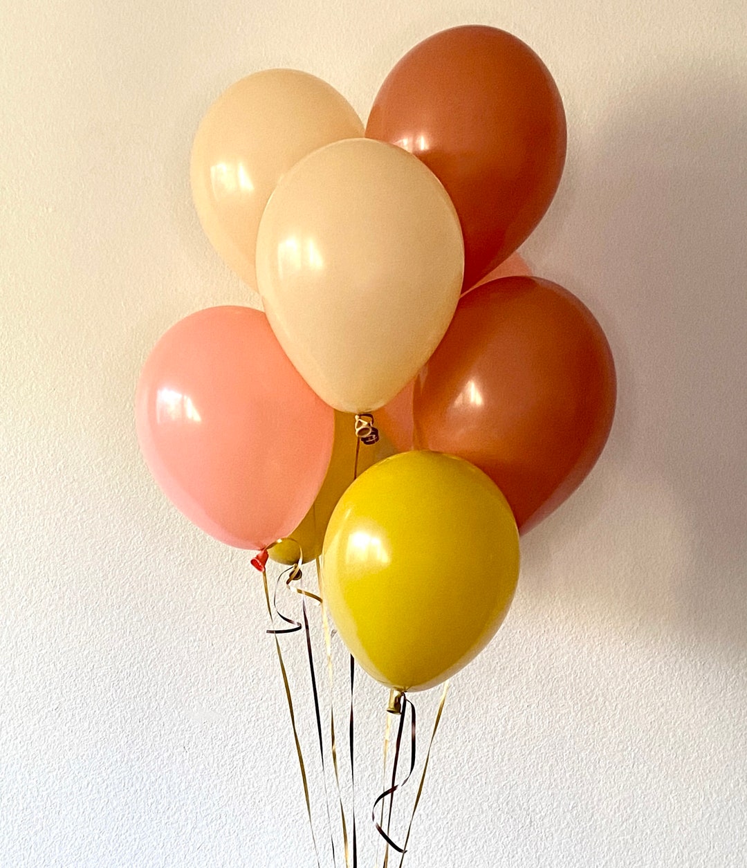 Neutral Colors Earth Tone Balloons Coral Blush Mustard Burnt Orange ...