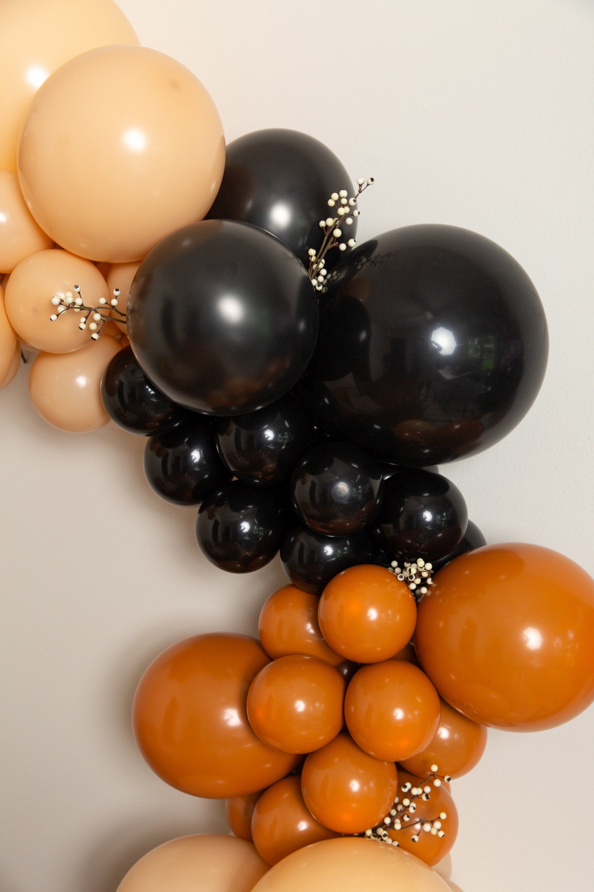 Prospect Park Balloon Garland Kit With Blush Citrus and Black - Etsy