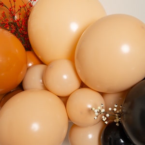 Prospect Park Balloon Garland Kit With Blush Citrus and Black for Fall ...