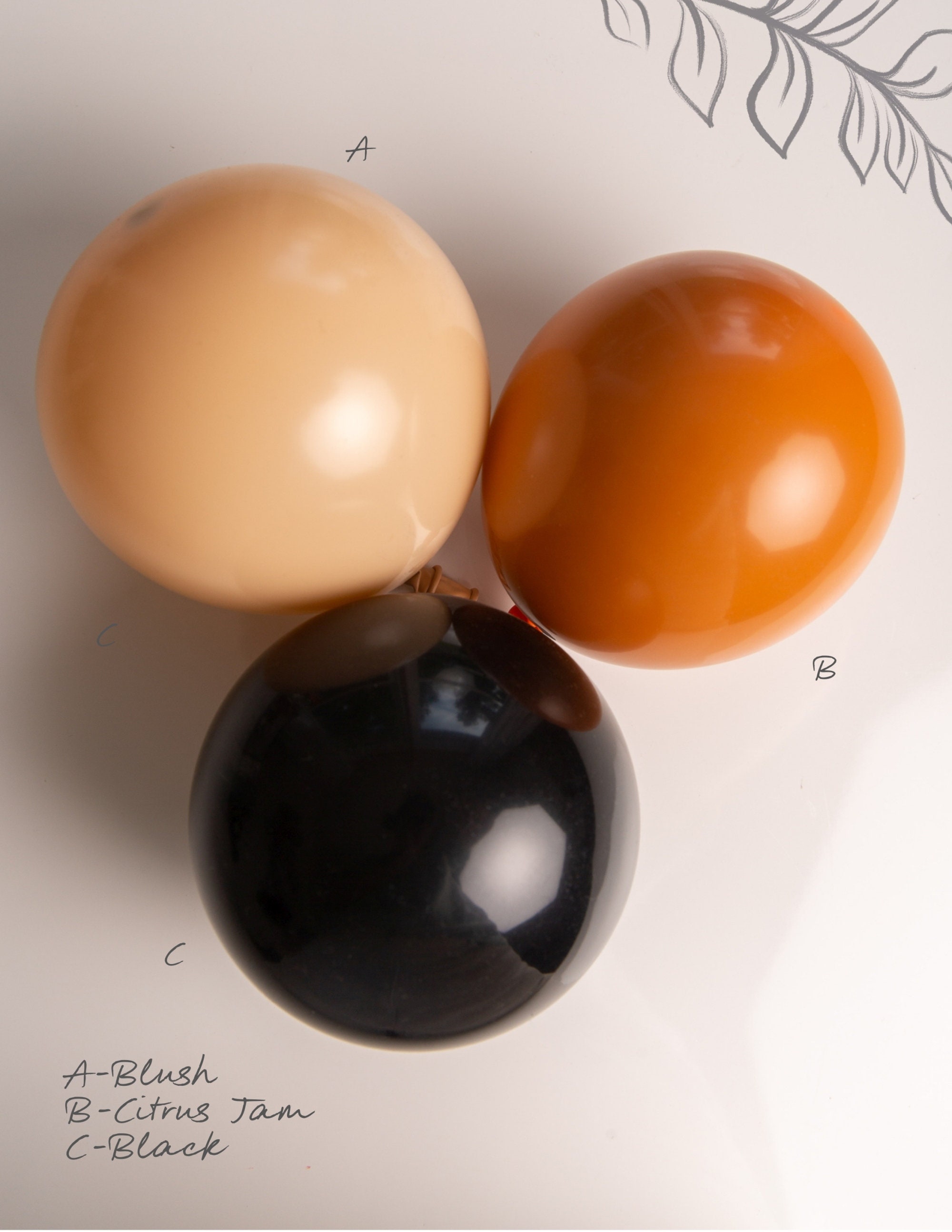 Prospect Park Balloon Garland Kit With Blush Citrus and Black - Etsy