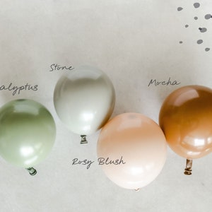 Joshua Tree Balloon Garland Kit Eucalyptus Grey Blush Mocha Balloons ...