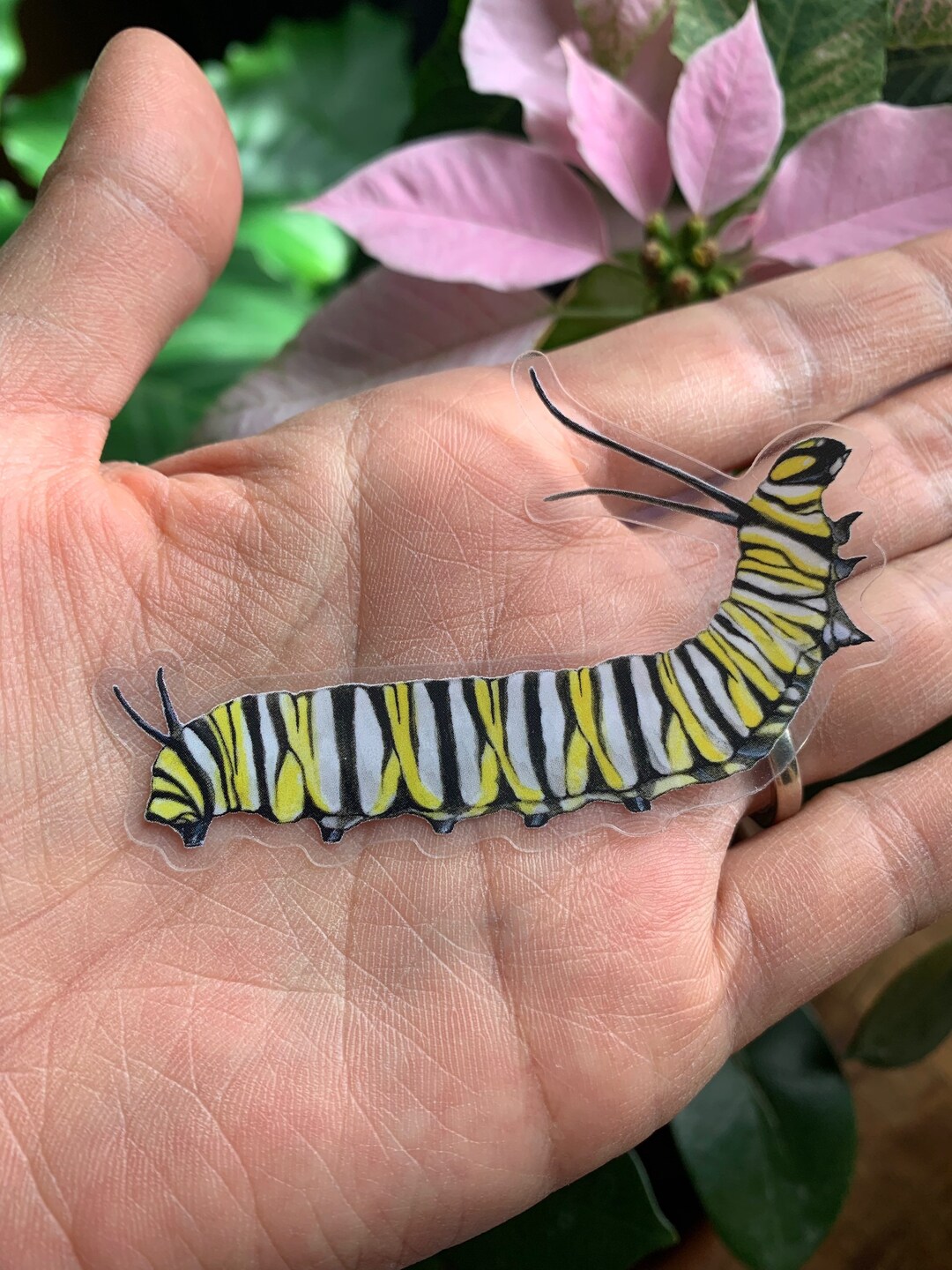 Clear Monarch Caterpillar Sticker, Water Resistant - Etsy