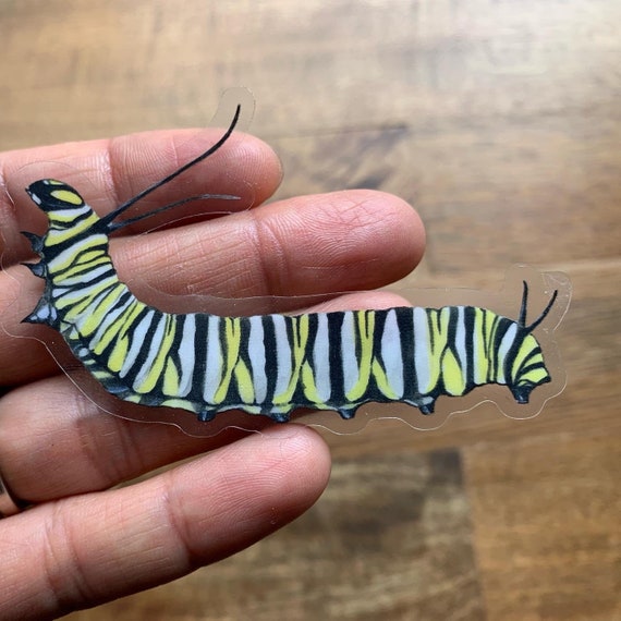 Clear Monarch Caterpillar Sticker Water and Fade Resistant - Etsy