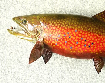 Brown Trout Reproduction Mount - Etsy
