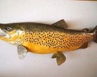 Brown Trout Reproduction Mount - Etsy