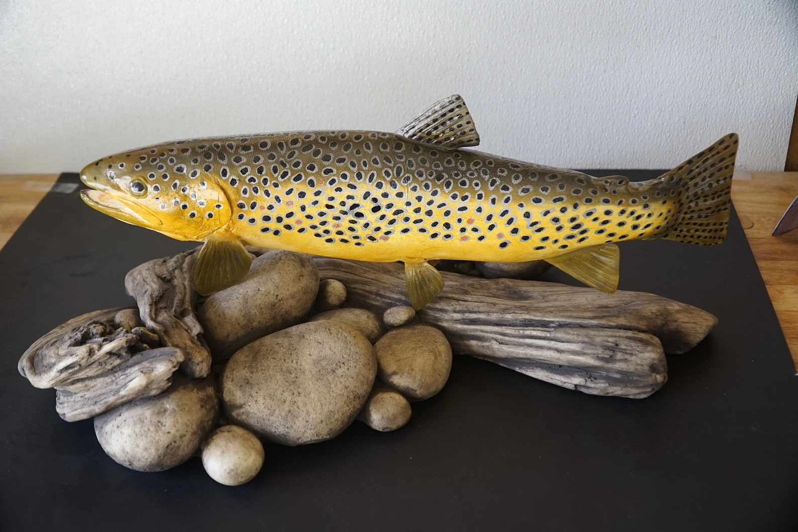 17 Brown Trout.360 Degree Table Top Trout. Hand Crafted Creation for ...