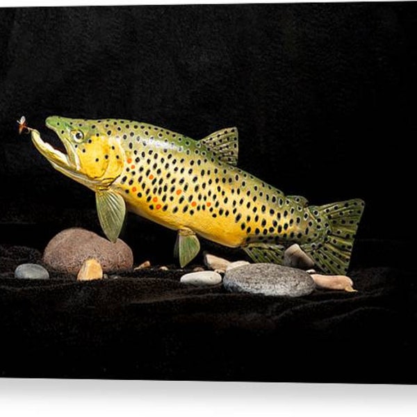 Brown Trout Art - Etsy