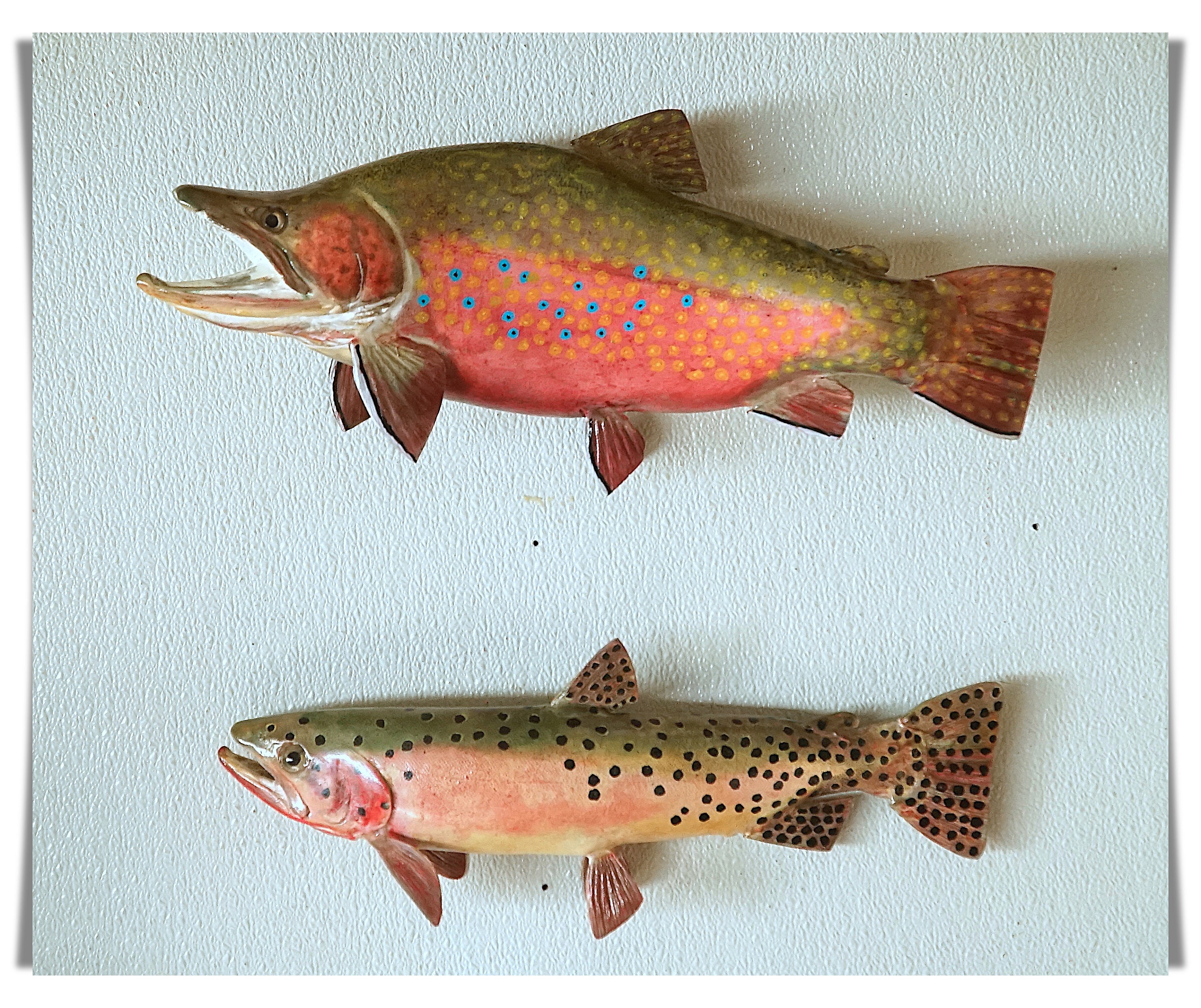 17 Brown Trout.360 Degree Table Top Trout. Hand Crafted Creation for ...