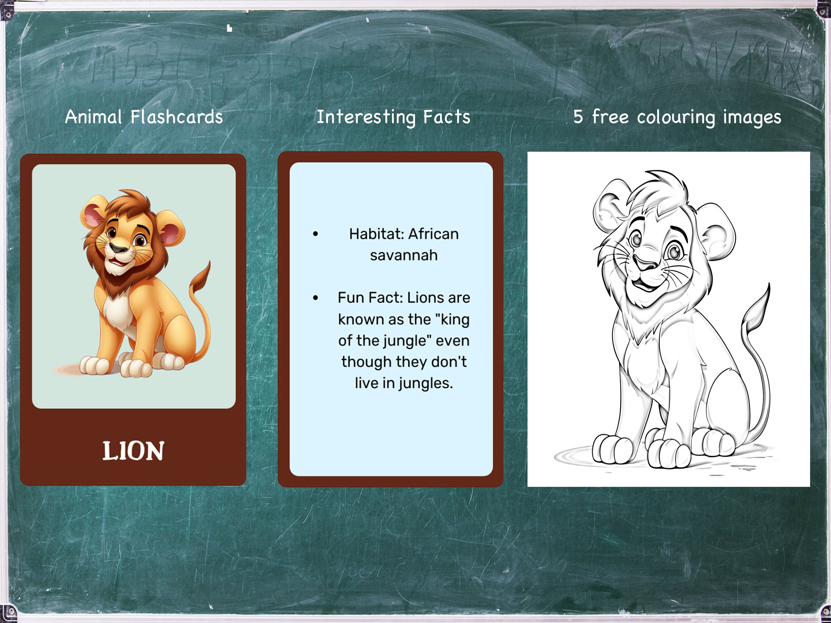 11 Printable Animal Flashcards Along With Matching Interesting Facts ...