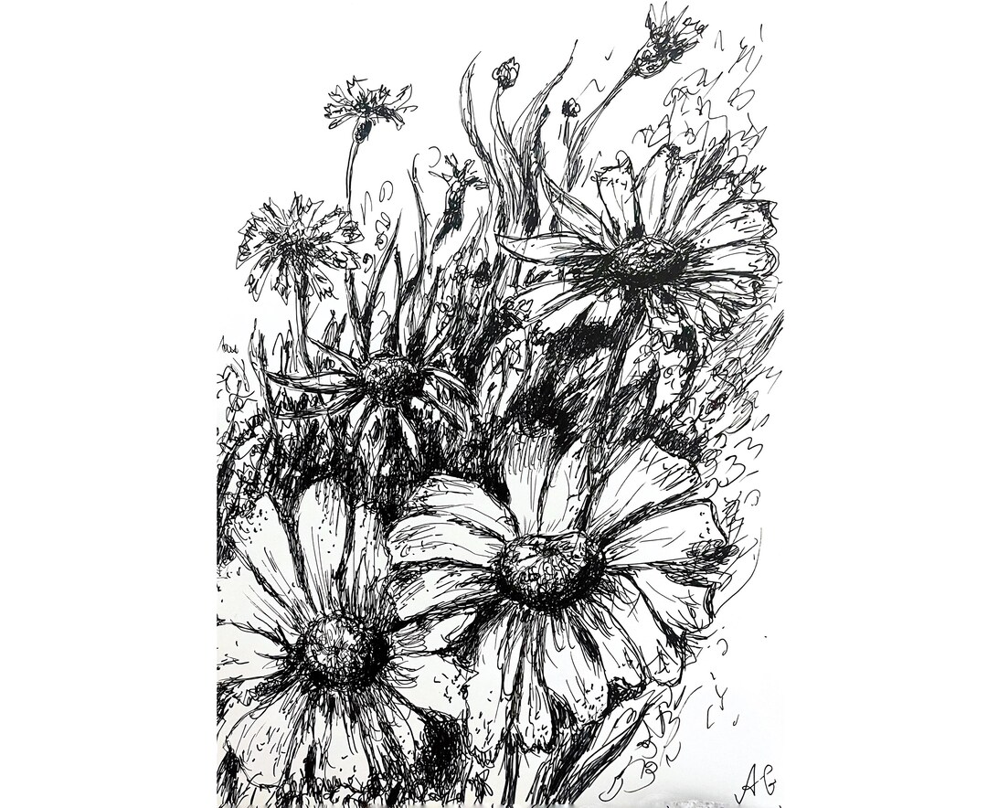 Original Daisy Pen Drawing: A4 Floral Botanical Sketch Art - Etsy Canada