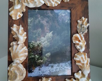 Seashell Frame | Etsy