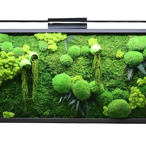 Moss Frame, Moss Wall Art, Pressed Flower Frame, Forest on Your Wall ...
