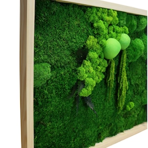 Moss Frame, Moss Wall Art, Pressed Flower Frame, Forest on Your Wall ...