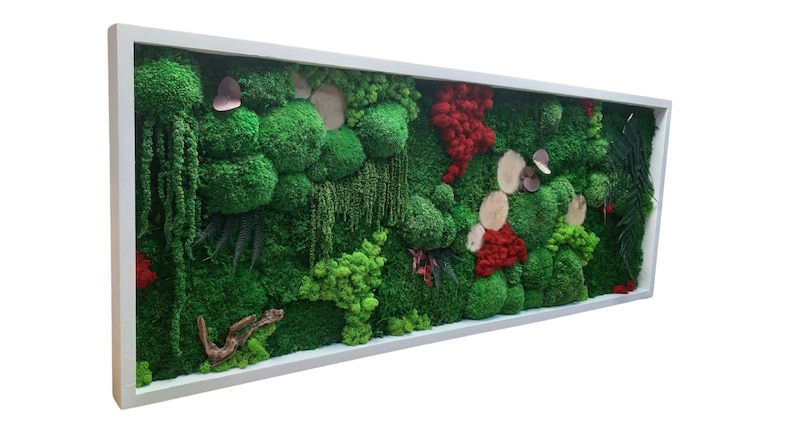 Moss Frame Red Reindeer Moss Moss Wall Art Pressed Flower - Etsy