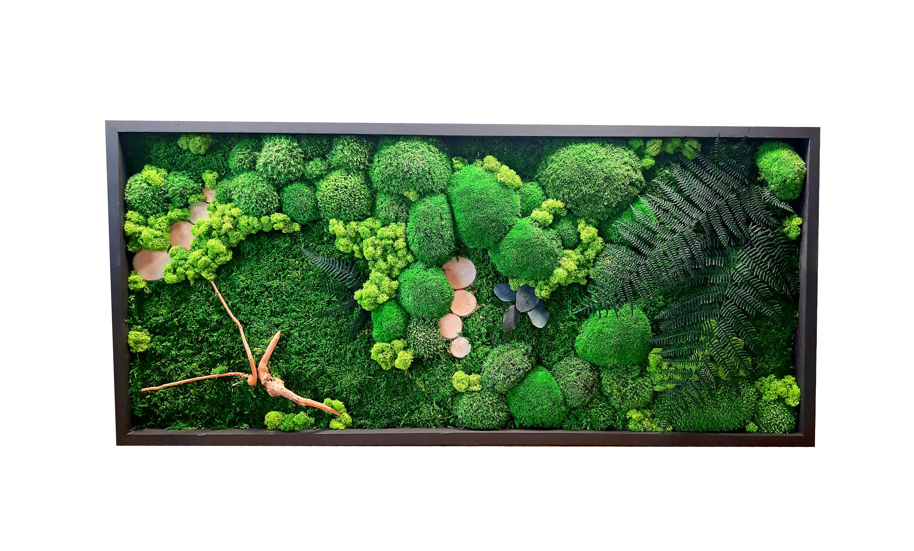 Moss Frame Moss Wall Art Pressed Flower Frame Forest on - Etsy UK