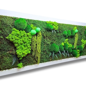 Moss Frame, Moss Wall Art, Pressed Flower Frame, Forest on Your Wall ...