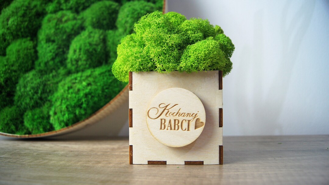 Personalized Moss Gift, Engraving Logo, Pot With Reindeer Moss With ...