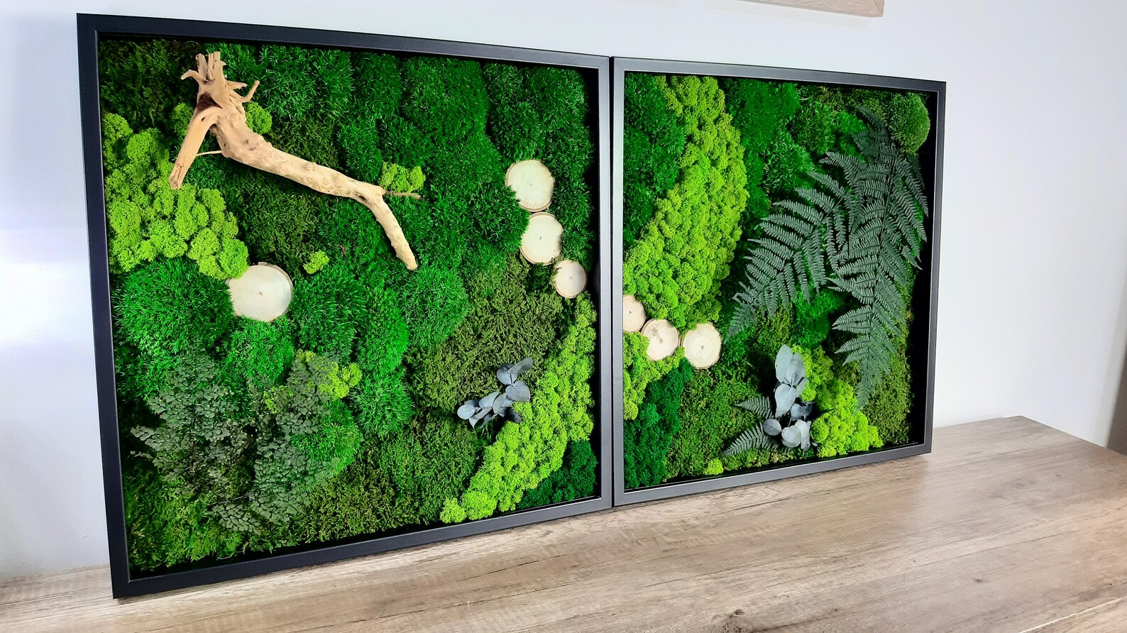 Moss Frame Wall Art | Preserved Fern & Forest Moss Decor | Zero ...