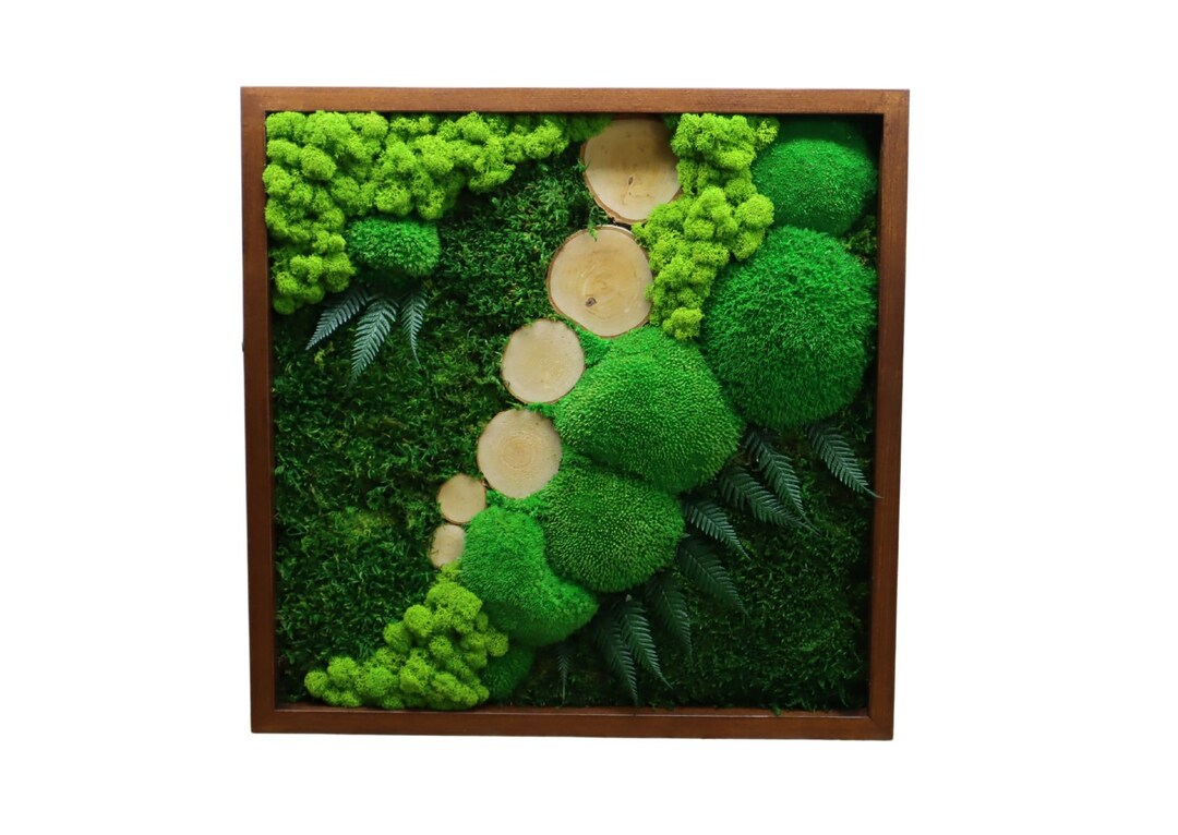 Moss Frame, Moss Wall Art, Pressed Flower Frame, Forest on Your Wall ...