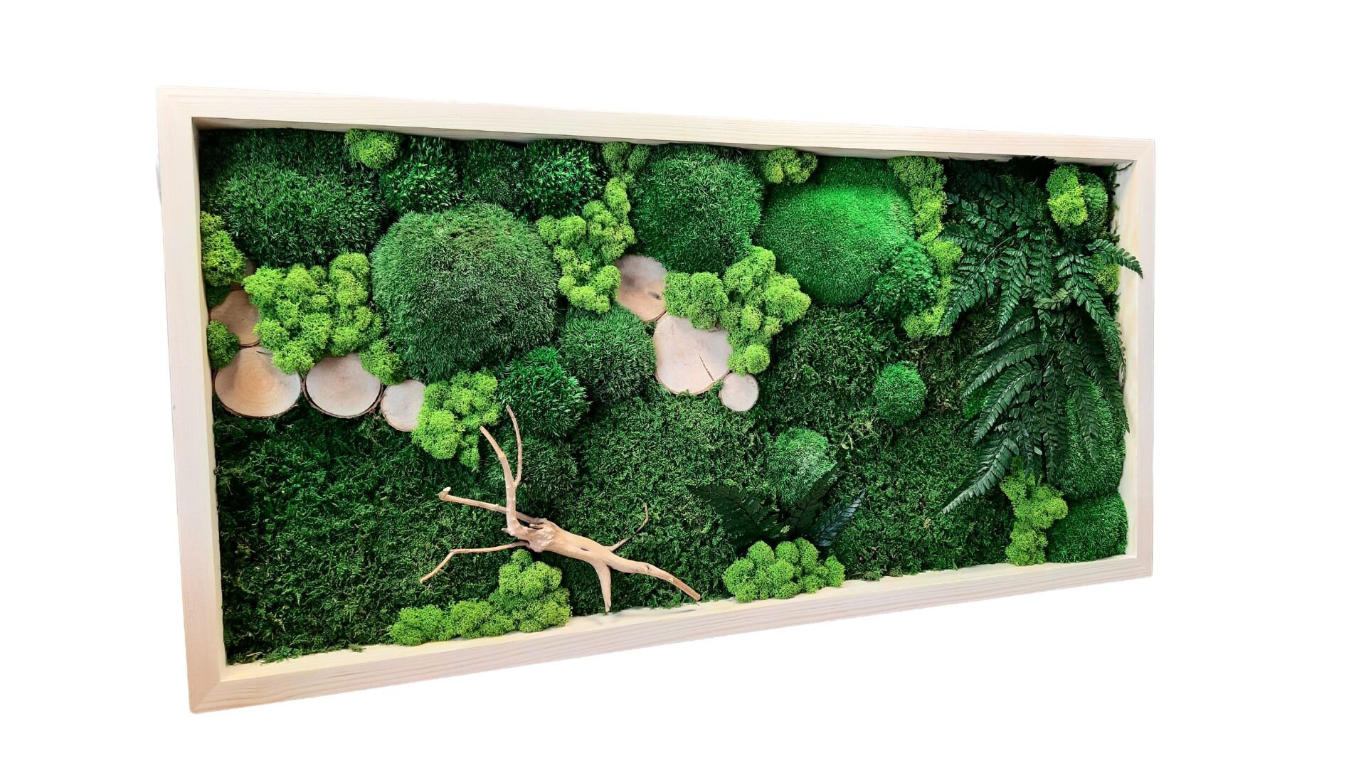 Moss Frame Moss Wall Art Pressed Flower Frame Forest on - Etsy UK