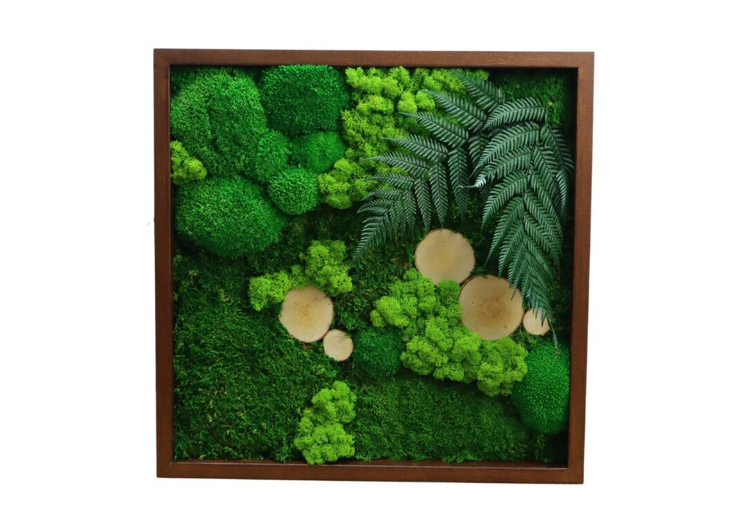 Moss Wall Art, Moss Frame, Preserved Flowers Frame, Reindeer Moss ...