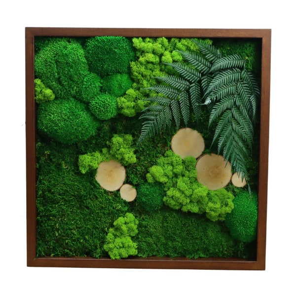Moss Frame - Etsy