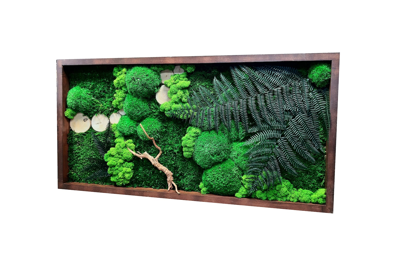 Moss Frame Moss Wall Art Pressed Flower Frame Forest on - Etsy UK