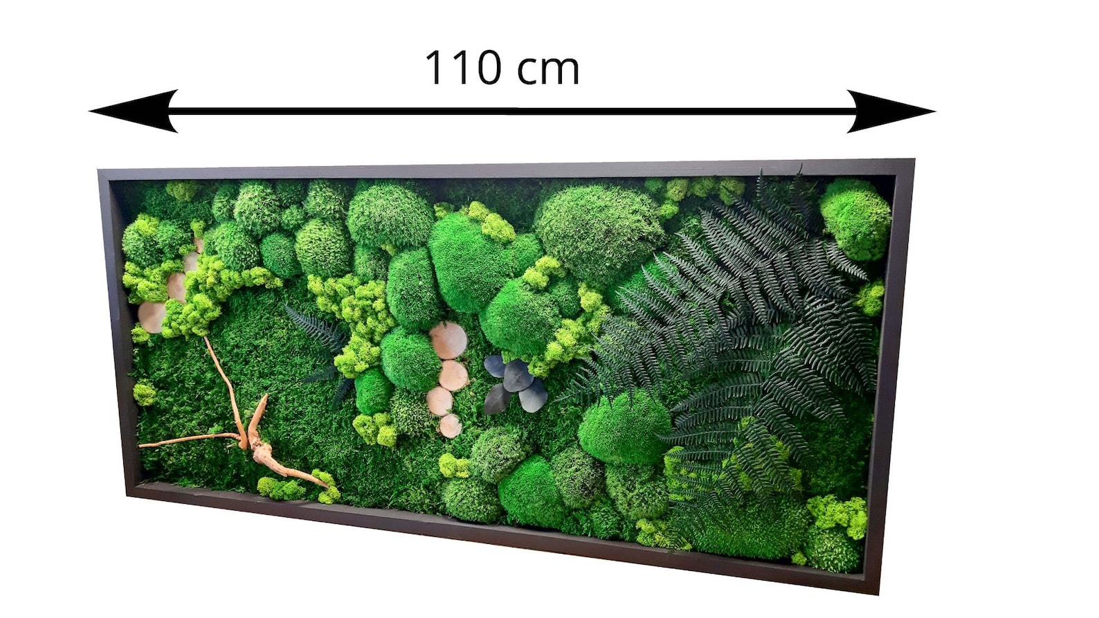 Moss Frame Wall Art | Preserved Fern & Forest Moss Decor | Zero ...