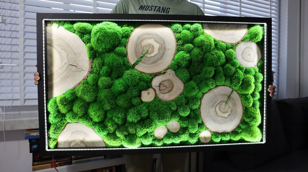 Illuminated Frame Moss Decor Moss Art Ball Moss LED Frame - Etsy