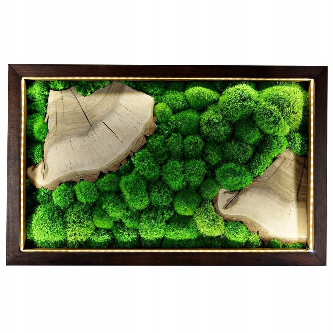 Illuminated Frame, Moss Decor, Moss Art, Ball Moss, LED Frame ...