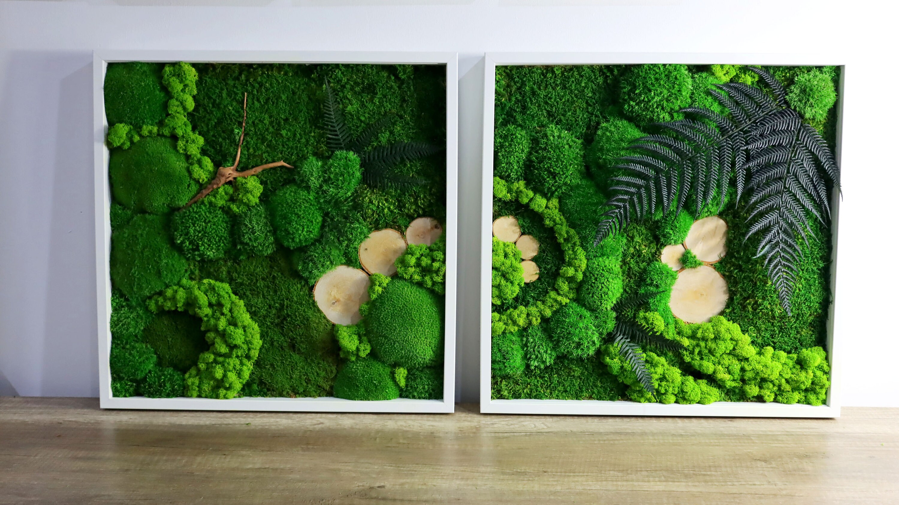Moss Frame Wall Art | Preserved Fern & Forest Moss Decor | Zero ...