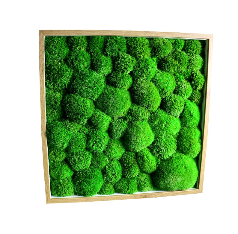 Moss Wall Art, Moss Ball, Frames With Pillow Moss, Living Moss, Ball ...