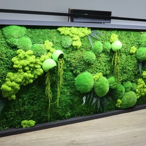 Moss Frame, Moss Wall Art, Pressed Flower Frame, Forest on Your Wall ...