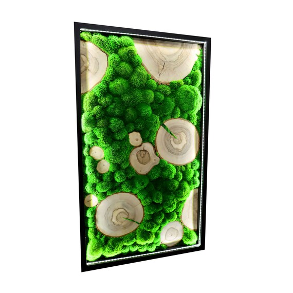 Illuminated Frame Moss Decor Moss Art Ball Moss LED Frame | Etsy