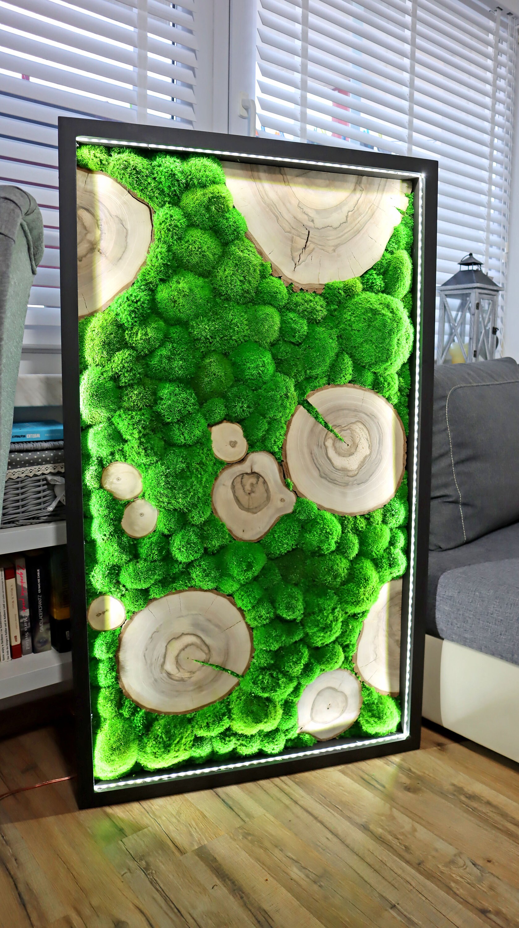 Illuminated Frame Moss Decor Moss Art Ball Moss LED Frame | Etsy