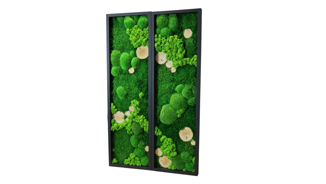 Moss Panels, Moos Bild, Moss Frame, Reindeer Moss, Moss Wall Art ...