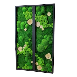 Moss Panels, Moos Bild, Moss Frame, Reindeer Moss, Moss Wall Art ...