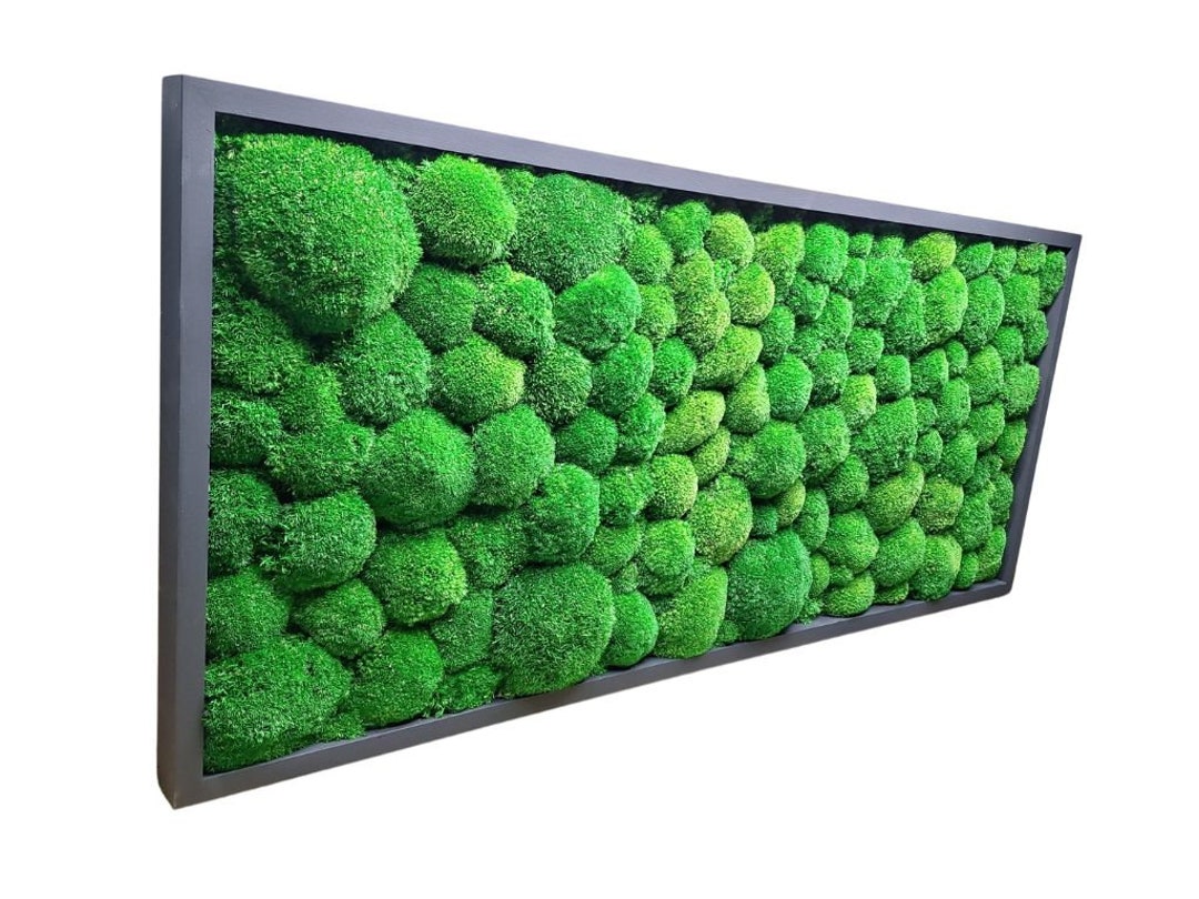 Moss Wall Art, Pillow Moss Frame, Frame With Pillow Moss, Living Moss ...