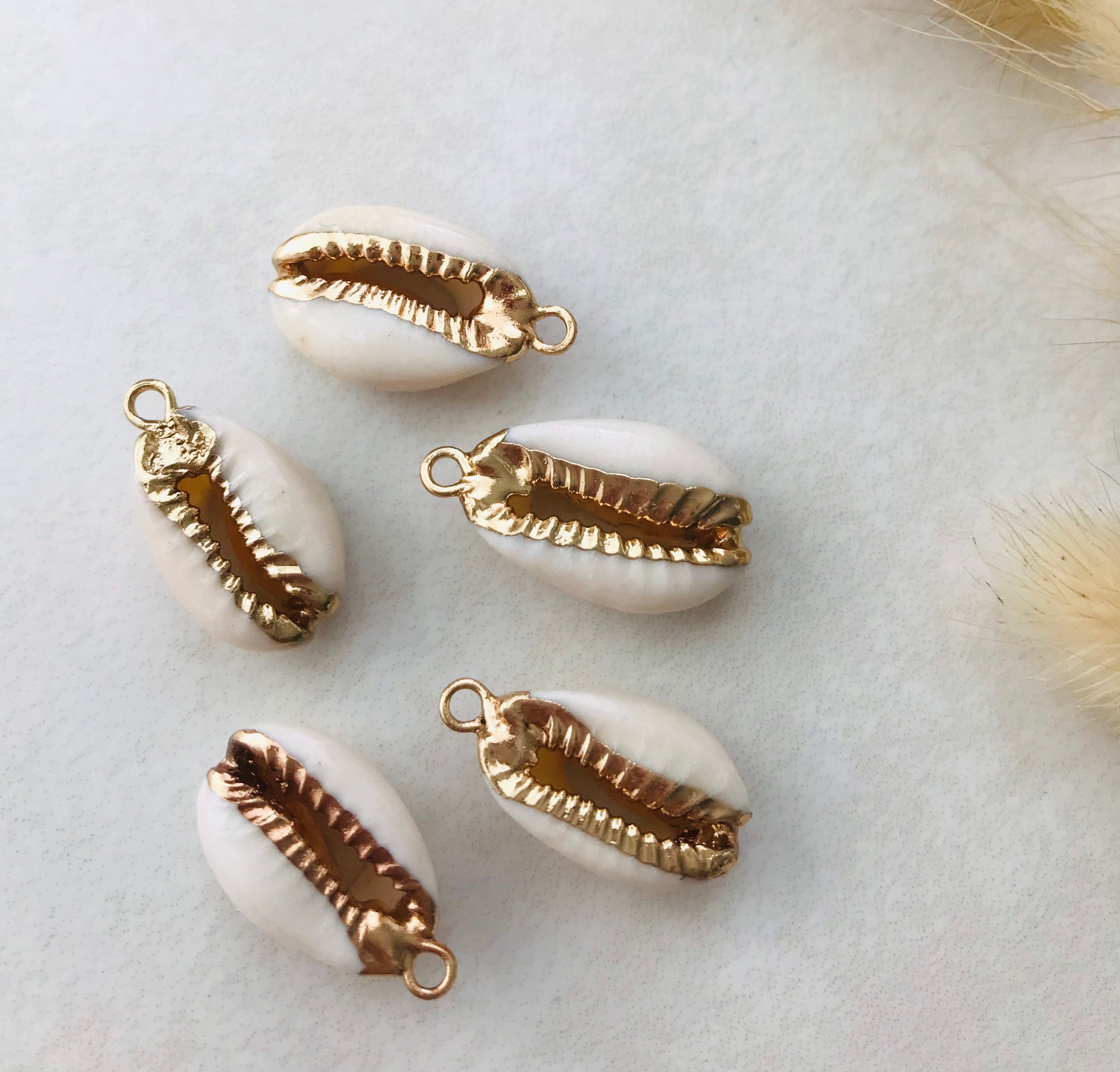 Golden Cowrie Shell for sale | Only 4 left at -75%