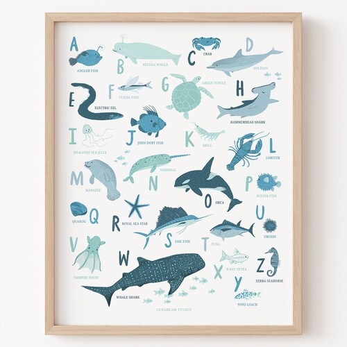 Animal Alphabet / Nursery Decor / Playroom Wall Art / Baby - Etsy